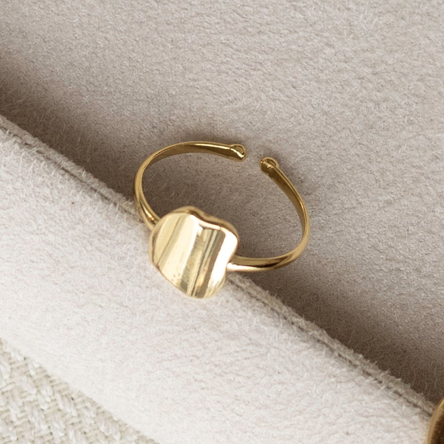 Anel Aberto Orgânico Liso Eva – Ale Rech